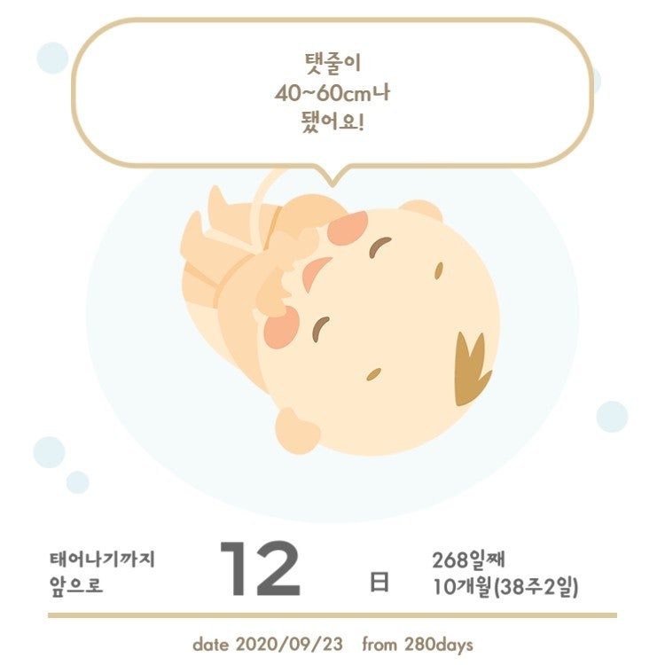임산부태교 정성가득 셀프 Diy 신생아 흑백 초점책 만들기도안첨부 네이버 블로그