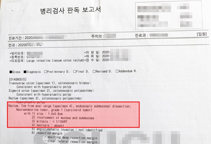 직장신경내분비종양 질병코드 D37.5 / C20 암진단비 5천만 원 받은 실제 사례 : 네이버 블로그