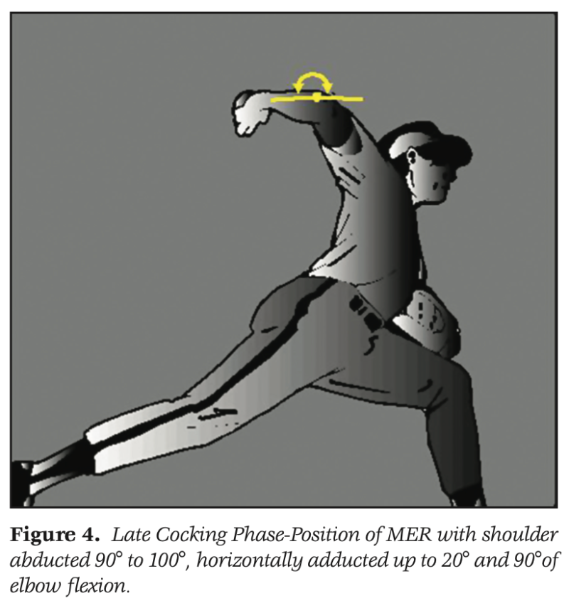 Baseball Pitching Mechanism, 야구 투구메커니즘 : 네이버 블로그