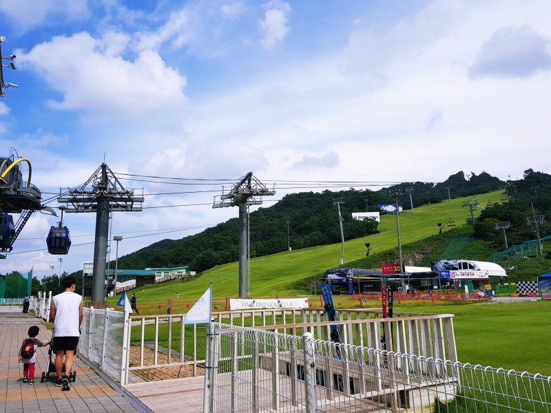 홍천 비발디파크 곤돌라 And 루지월드 요금 및 이용후기 네이버 블로그