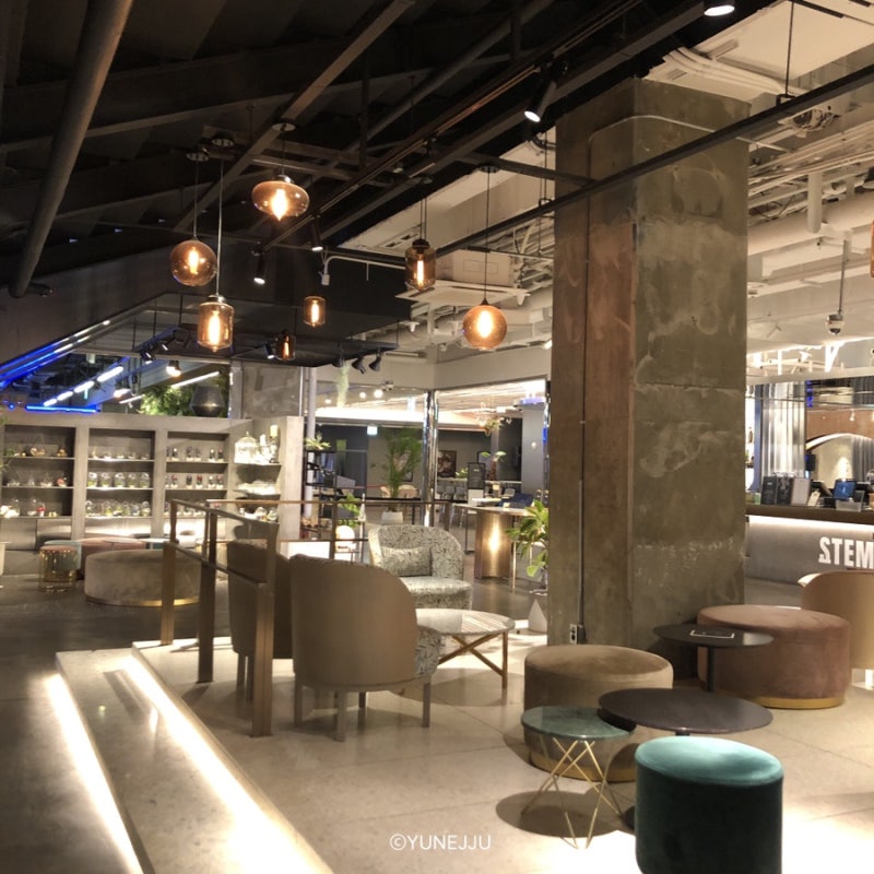 삼성역 코엑스카페, 스템커피(STEM COFFEE) : 네이버 블로그