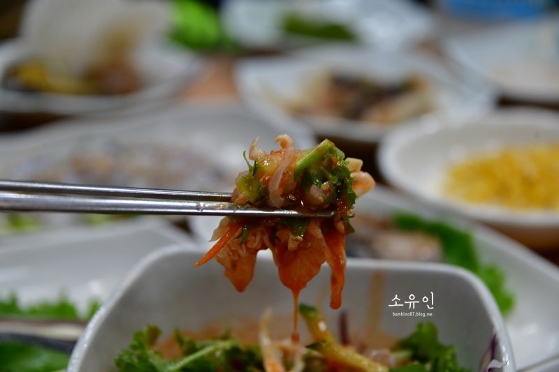 당진횟집 왜목마을맛집 왜목마을 섬마을횟집 네이버 블로그