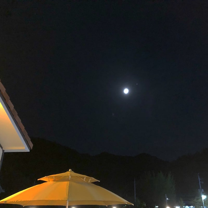 전주 저는 아중저수지가 좋아요 아중저수지 카페 느그시봄 네이버 블로그