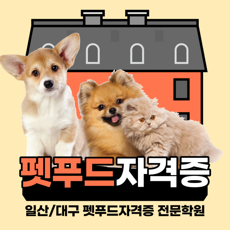 펫푸드 자격증 따실 분들은 반드시 알아야할 내용 네이버 블로그
