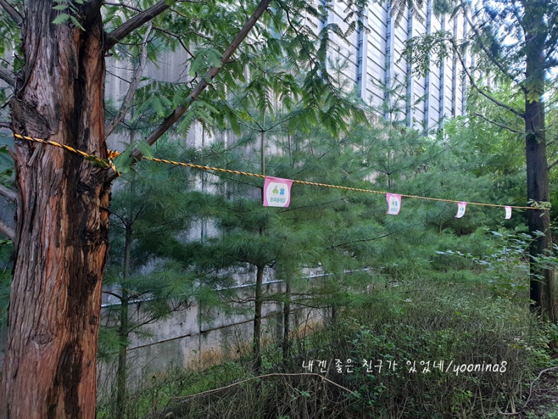 송파구 걷기 좋은길 송파둘레길 장지천 코스 네이버 블로그
