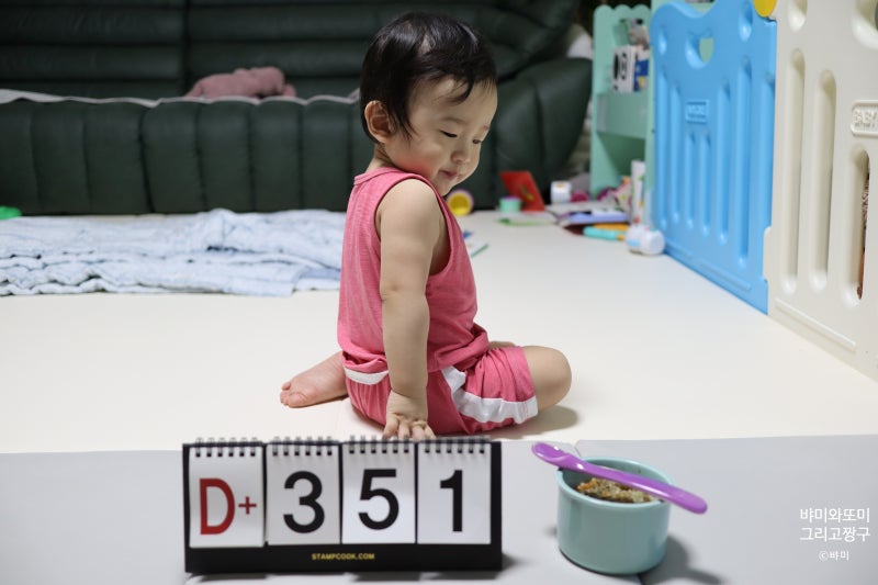 11개월 아기 밥솥 후기이유식 소고기 광어 당근 양파 근대 고구마 샐러리 맛타리버섯 애호박 양배추 청경채