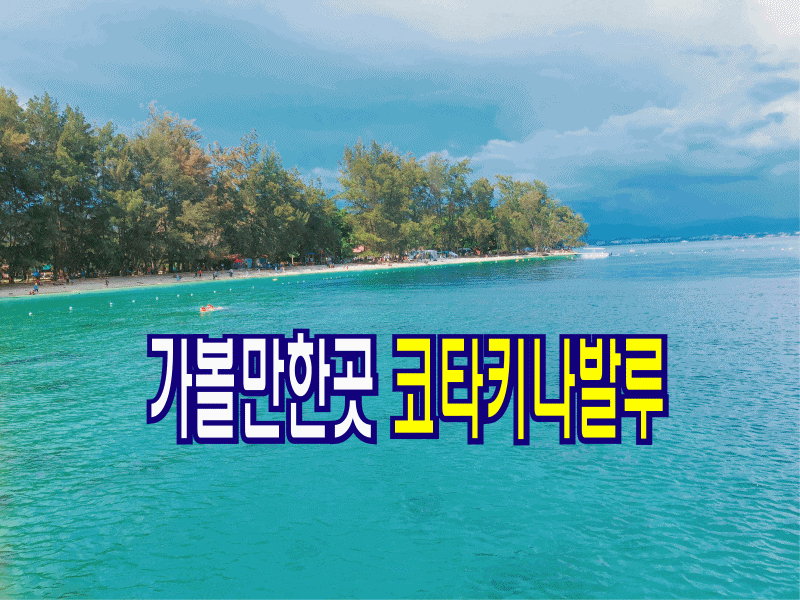 가볼만한곳 코타키나발루 말레이시아 여행 반딧불투어 네이버 블로그