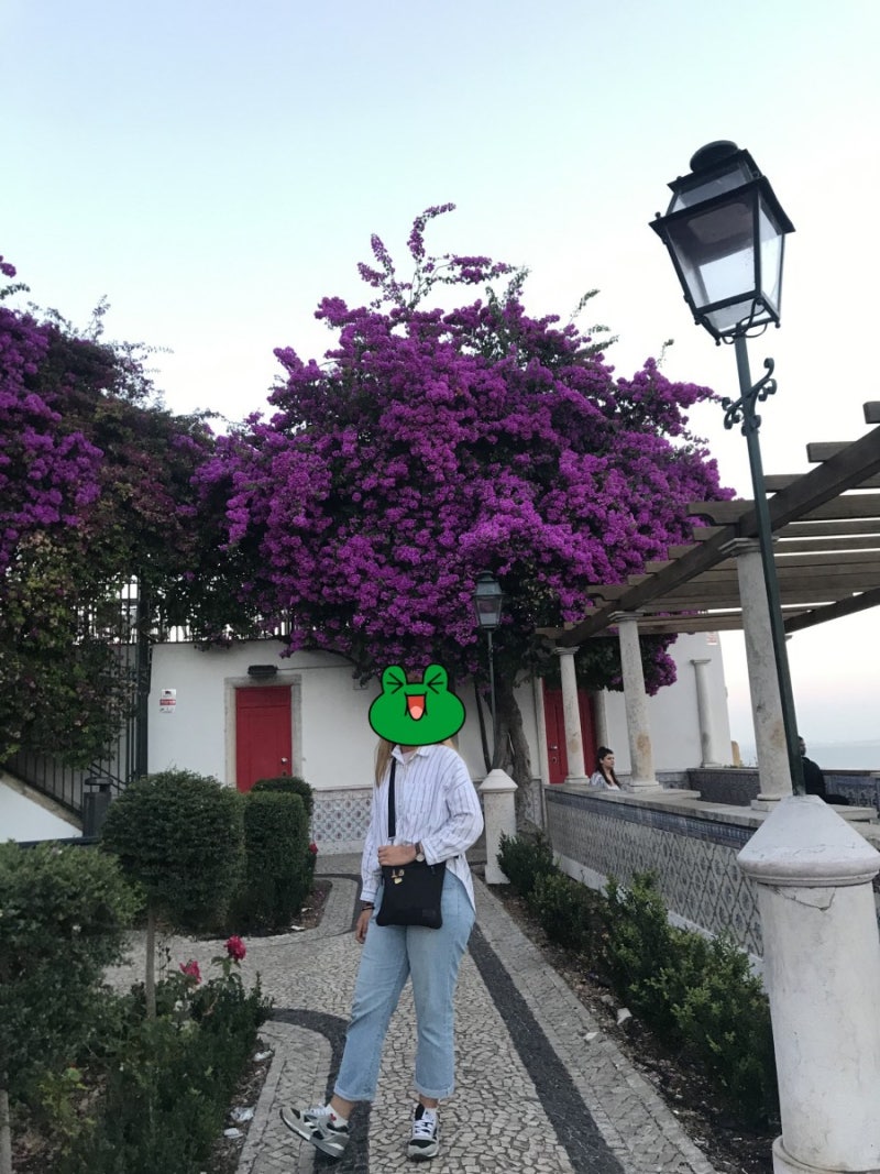 서유럽 10일차 포르투갈 리스본 1일차 데스티네이션호스텔후기 해물밥 돌판스테이크 포르타솔 두 솔 전망대 리스본대성당