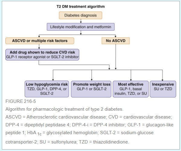 제2형 당뇨병 치료제 선택, T2DM treatment algorithm : 네이버 블로그