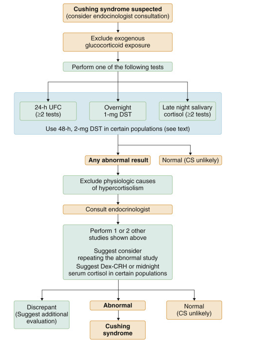 쿠싱증후군 진단 검사, Cushing syndrome, diagnosis and confirmation test : 네이버 블로그