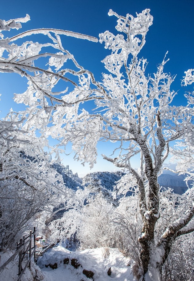 겨울 지리산 천왕봉 눈꽃 진주산악회 번개산행 : 네이버 블로그