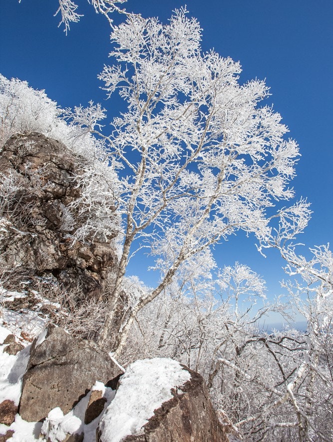 겨울 지리산 천왕봉 눈꽃 진주산악회 번개산행 : 네이버 블로그
