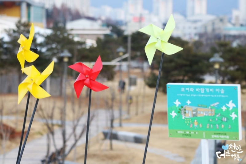 ️ 천안 시민리포터 시민들의 휴식공간으로 사랑받고 있는 천안천 산책로와 신방공원 네이버 블로그