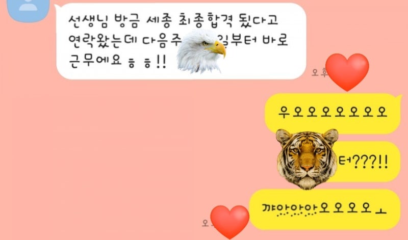 플랜b 좋은직업 떠먹여드려요 세종6대로펌 비서채용 ~1월20일토익850이상신입비서채용로펌비서 합격스펙합격후기