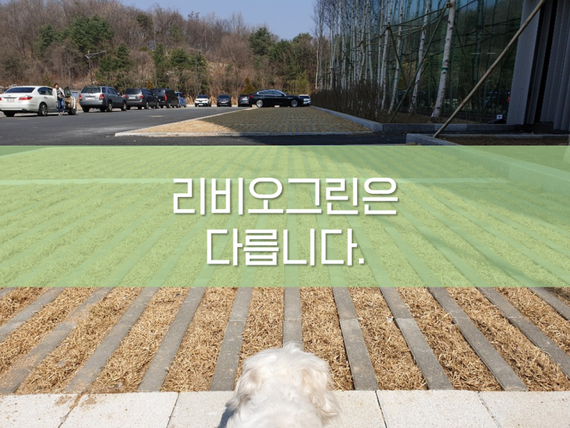 L 76 리비오그린 잔디블럭은 다릅니다잔디블록 생태주차장 그린빗물인프라자연석형잔디블록자연석형잔디블럭띠녹지