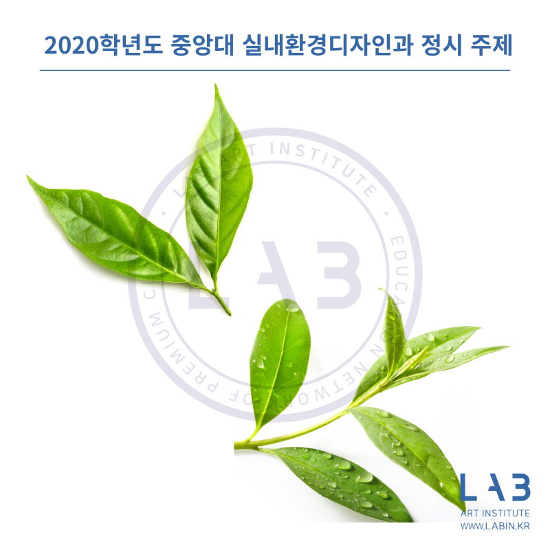 실시간 정시갈랩 2020학년도 중앙대 정시 기초디자인 주제 실내환경디자인과 네이버 블로그