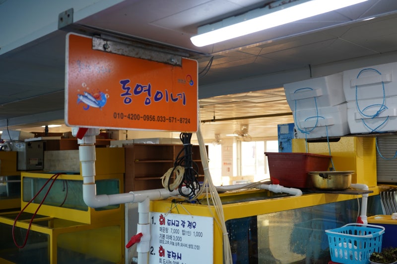 속초여행 자연산 횟집 물치항 횟집 포장까지 완벽한 동영이네♡ 네이버 블로그