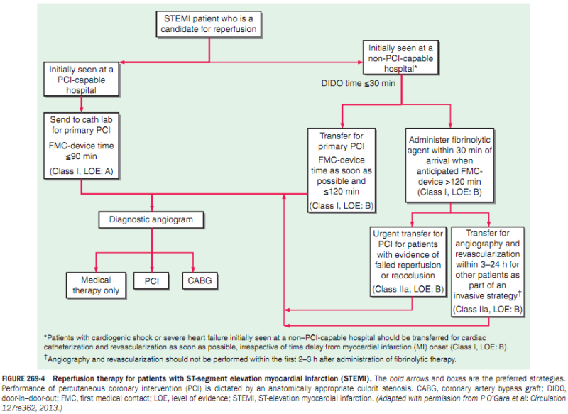 심근경색증(Myocardial infarction)의 병태생리, 진단, 치료 전반적인 설명 : 네이버 블로그