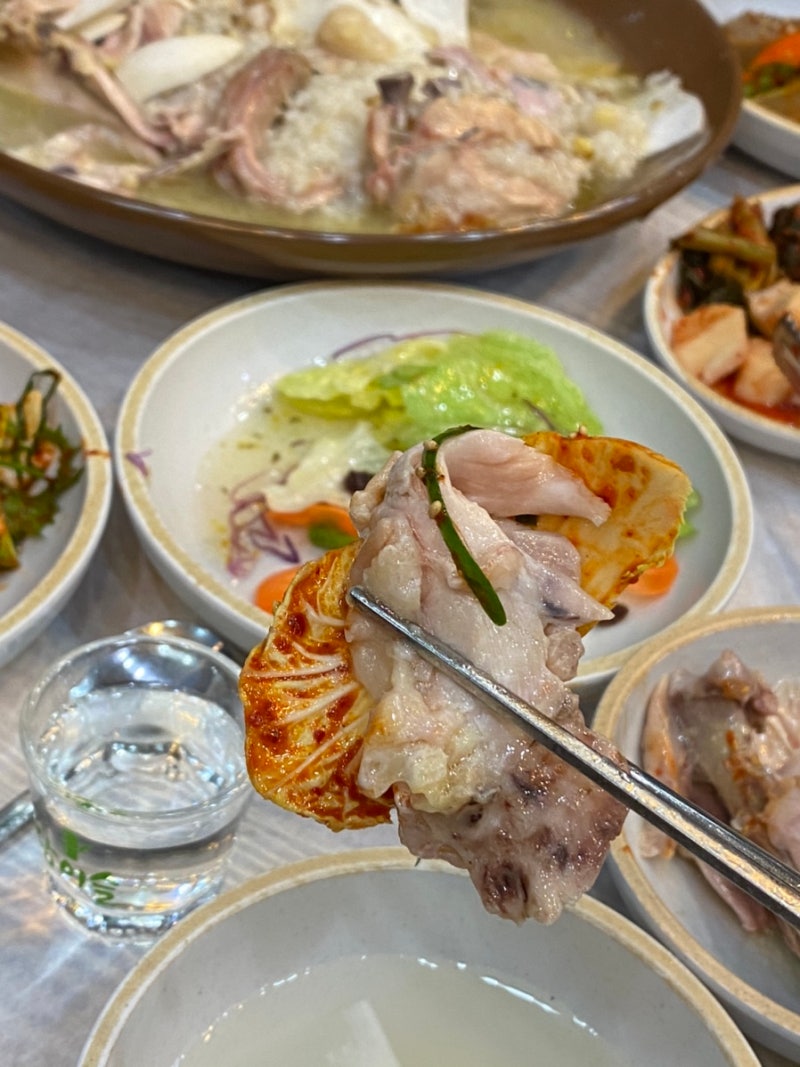 동탄 맛집 장수촌 토종닭 누룽지백숙 한방능이백숙 네이버 블로그