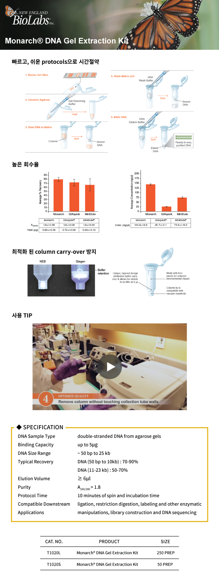 NEB Monarch® DNA Gel Extraction Kit를 소개합니다. : 네이버 블로그