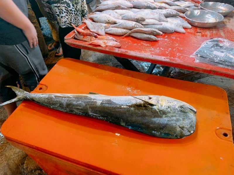 코타키나발루 여행 10 필리피노 마켓 다양한 먹거리가 있는 로컬 야시장 네이버 블로그