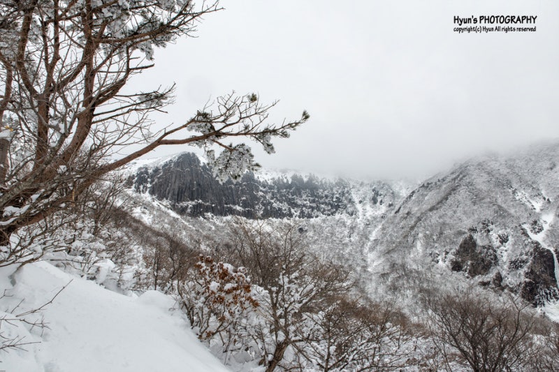 겨울 한라산 등반 추천 등산코스 어리목 윗세오름 영실 구간의 환상적인 눈꽃 설경 네이버 블로그
