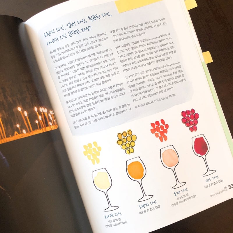 앰버 레볼루션 Amber Revolution : 네이버 블로그