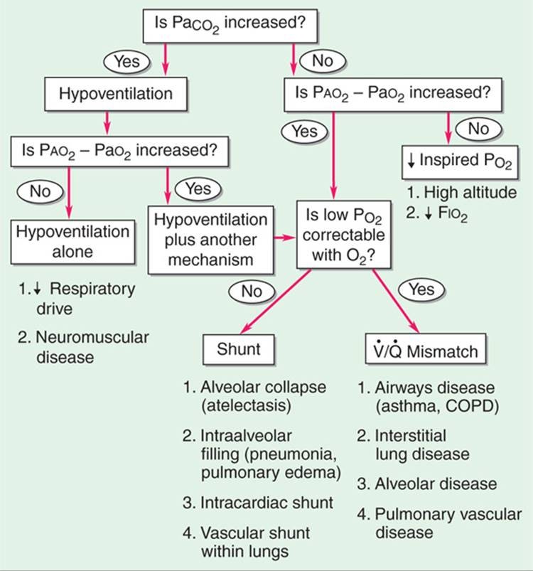 #2 ABGA (동맥혈가스분석) 해석하기 : 네이버 블로그