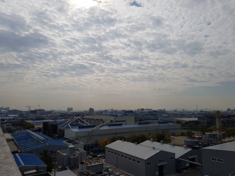 엠티브이공장임대 MTV공장임대 신축공장외 다양한 평수 : 네이버 블로그