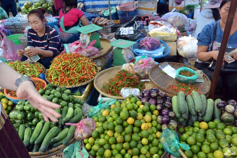 [라오스/루앙프라방/여행] Bamboo Tree Cooking Class (ft. 여행 중 요리 강좌 선택 포인트!) : 네이버 블로그