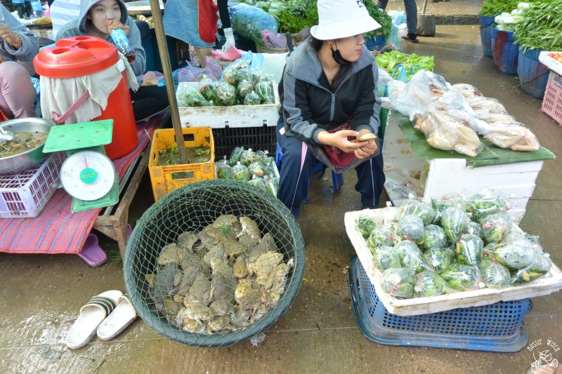 [라오스/루앙프라방/여행] Bamboo Tree Cooking Class (ft. 여행 중 요리 강좌 선택 포인트!) : 네이버 블로그