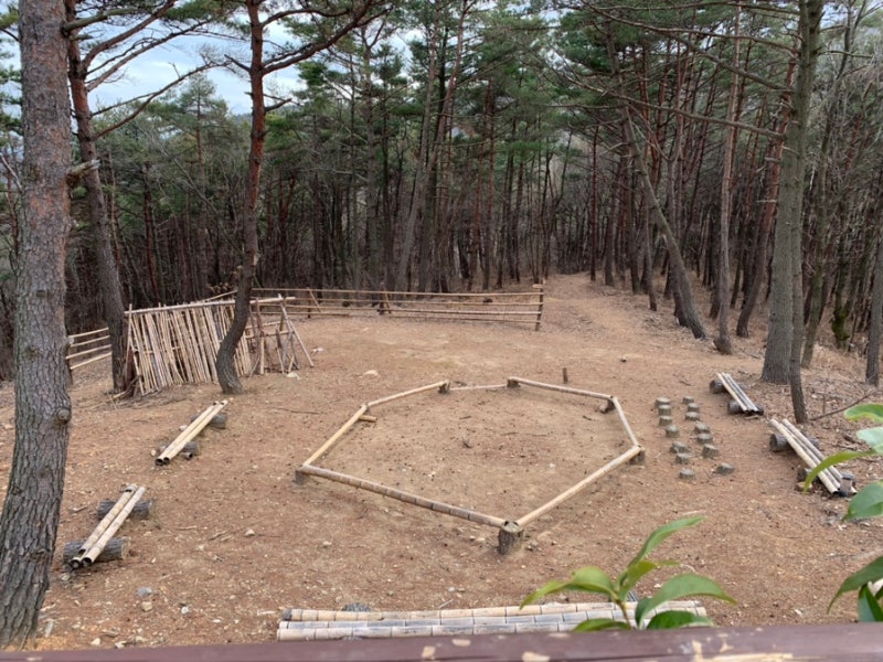 [부산 가볼 만한 곳] 부산 사람도 잘 모르는 국립 달음산 자연휴양림 /국립자연휴양림예약 잘 하는 노하우 : 네이버 블로그