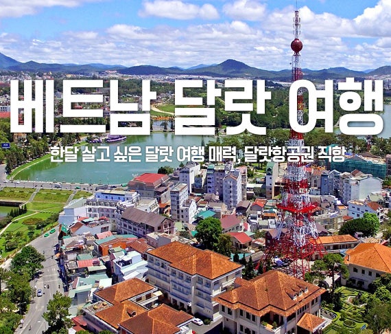 한달 살고 싶은 베트남 달랏 여행 매력 달랏항공권 직항으로 더 가깝게 네이버 블로그