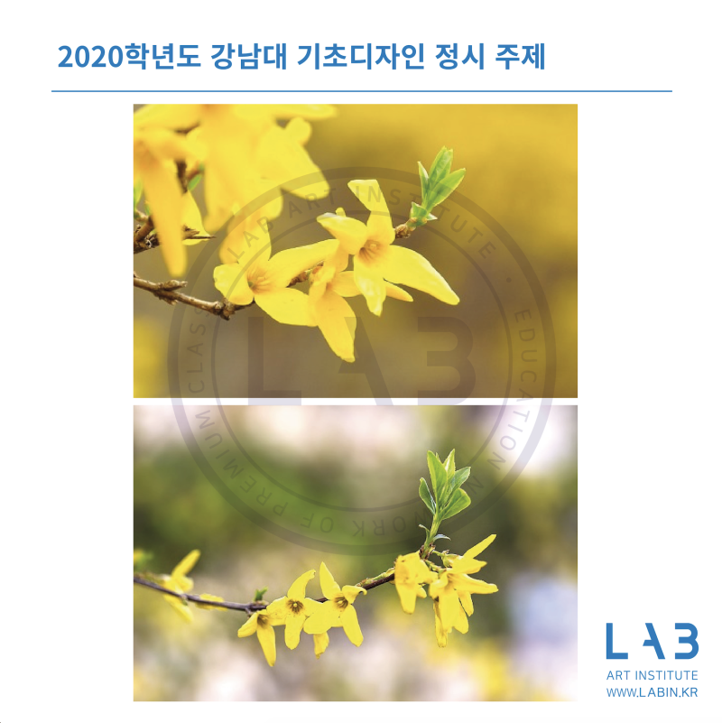 실시간 정시갈랩 2020학년도 강남대 정시 기초디자인 주제 네이버 블로그