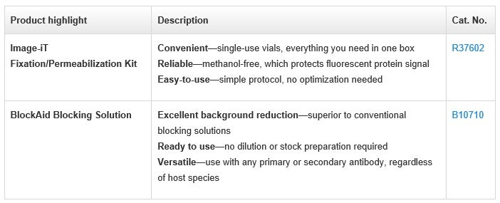 Five Steps for Fixed cell Imaging : 네이버 블로그