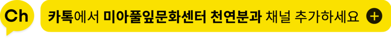 특강 입욕제버블바 원데이 클래스미아풀잎문화센터롤리팝버블바유니콘버블바버블바배우는곳풀잎문화센터 네이버 블로그
