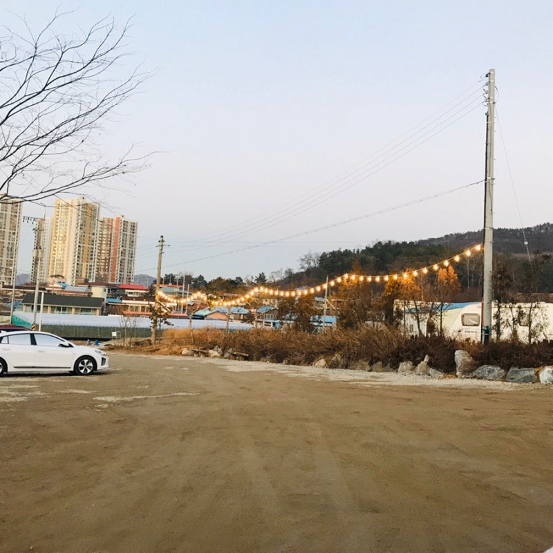 천안 성거 분위기 맛집 카페 이숲ft야경and핑크뮬리 명소 네이버 블로그