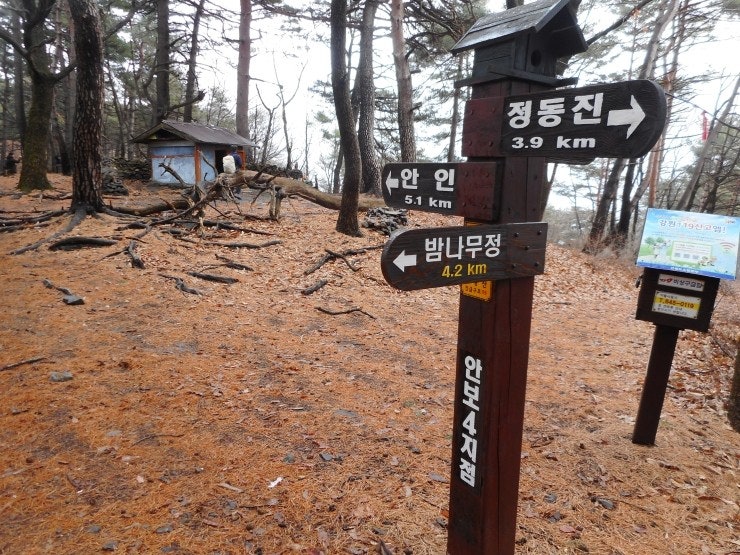 해파랑길강릉구간36코스 정동진역 당집 괘방산 페러글라이딩활공장전망대 안인해변~ 네이버 블로그