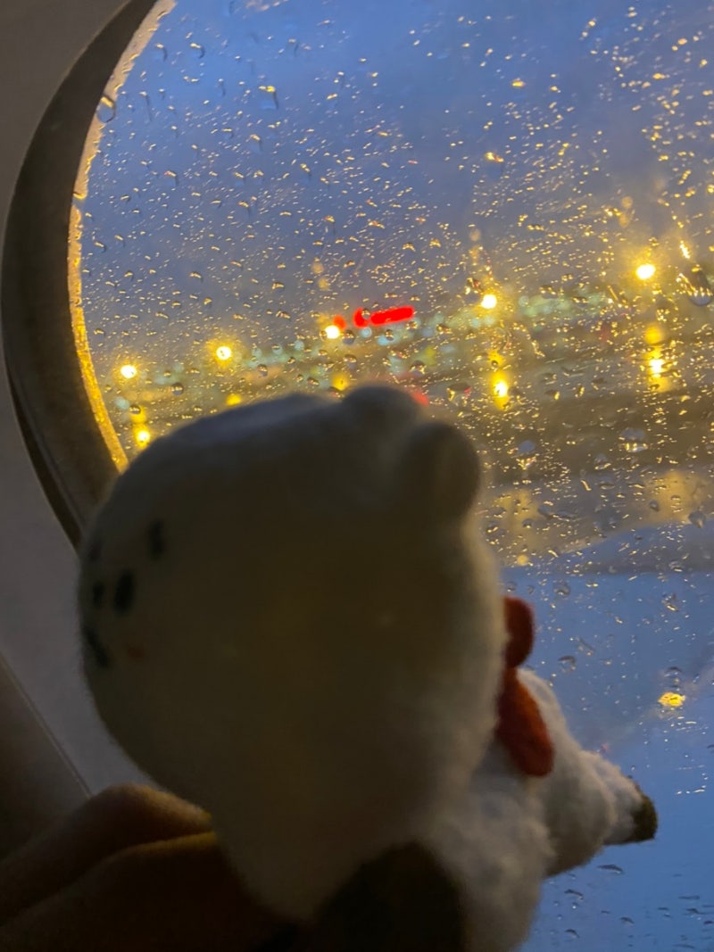 중국동방항공 인천-상하이 MU5034, 상하이-인천 MU5051 탑승후기 : 네이버 블로그