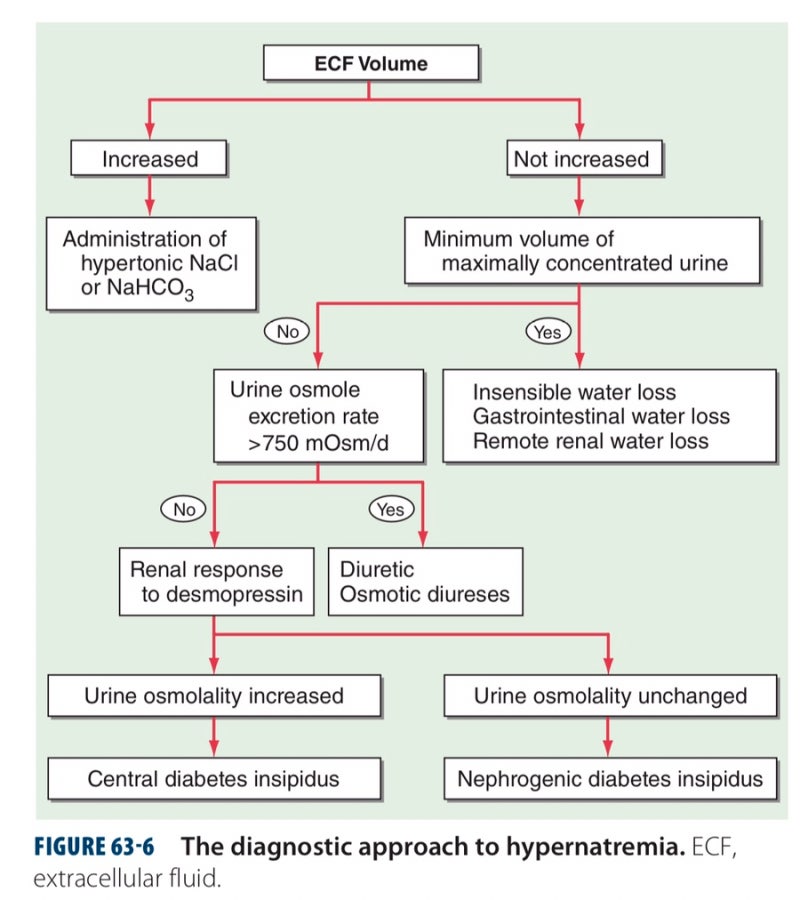 Hyponatremia & Hypernatremia : 네이버 블로그