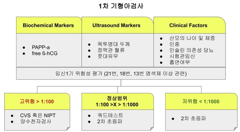 1차 기형아검사결과지 읽기 네이버 블로그