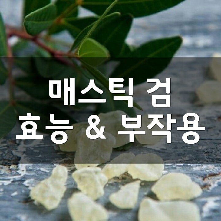 매스틱검 Mastic Gum 효능 부작용 권장량 제품 순위 네이버 블로그
