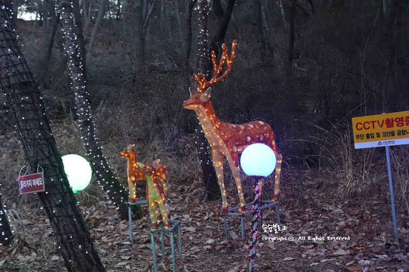 단양 수양개빛터널 입장료 및 주차요금 그리고 후기 네이버 블로그