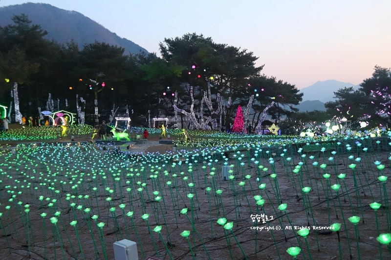 단양 수양개빛터널 입장료 및 주차요금 그리고 후기 네이버 블로그