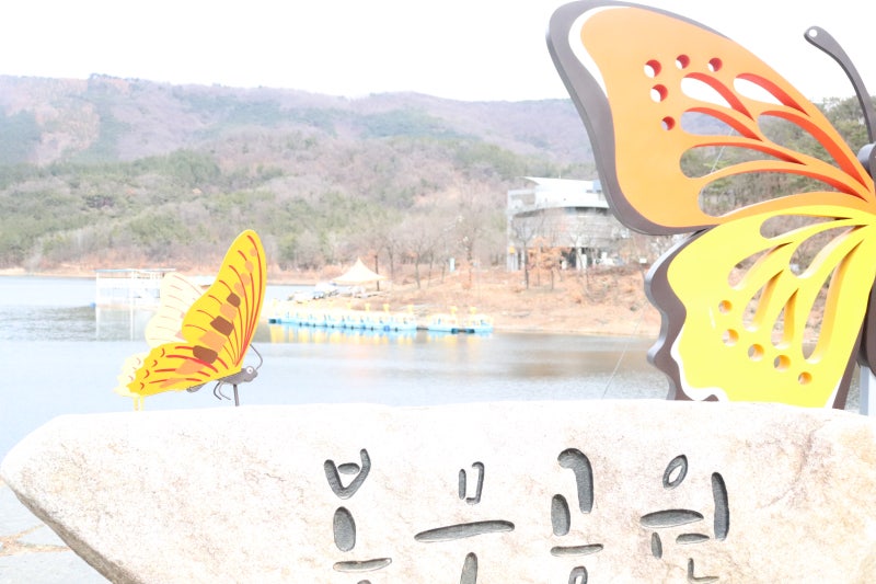 나비생태공원 대구 가볼만한곳 봉무공원나들이 네이버 블로그