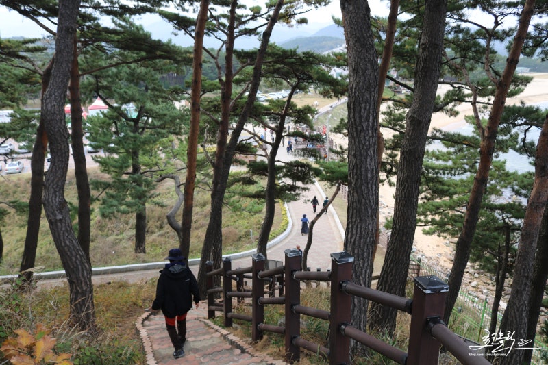 강원도 고성 가볼 만한 곳 화진포 해수욕장 김일성 별장 역사안보전시관 생태 박물관 네이버 블로그