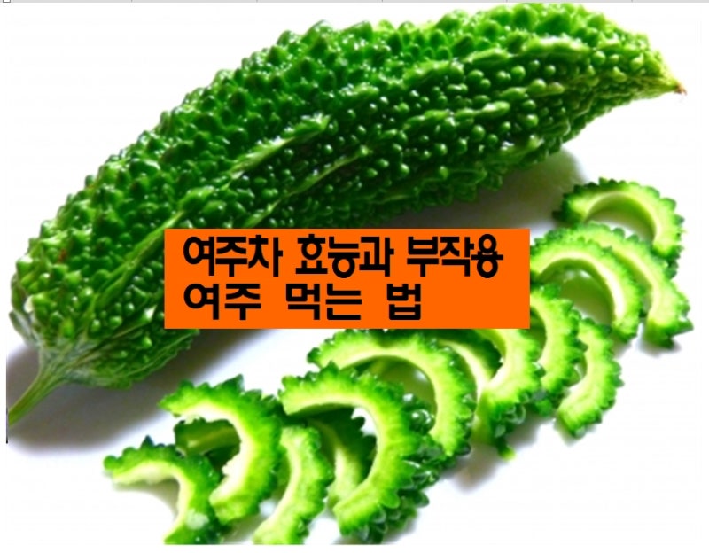 여주차 효능과 부작용 여주 먹는 법 당뇨혈당수치 저하에 특효 네이버 블로그