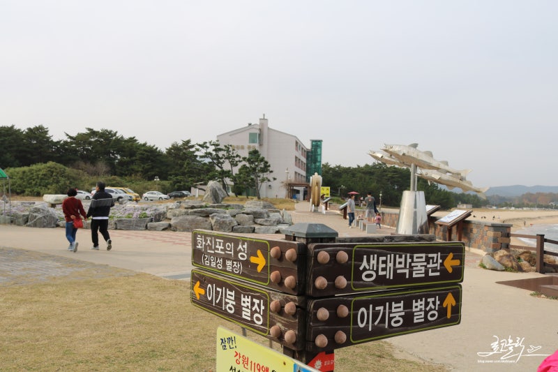 강원도 고성 가볼 만한 곳 화진포 해수욕장 김일성 별장 역사안보전시관 생태 박물관 네이버 블로그