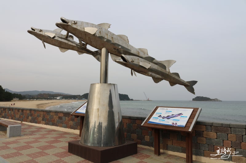 강원도 고성 가볼 만한 곳 화진포 해수욕장 김일성 별장 역사안보전시관 생태 박물관 네이버 블로그