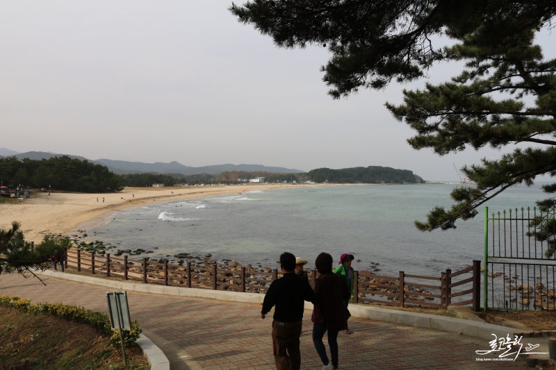 강원도 고성 가볼 만한 곳 화진포 해수욕장 김일성 별장 역사안보전시관 생태 박물관 네이버 블로그